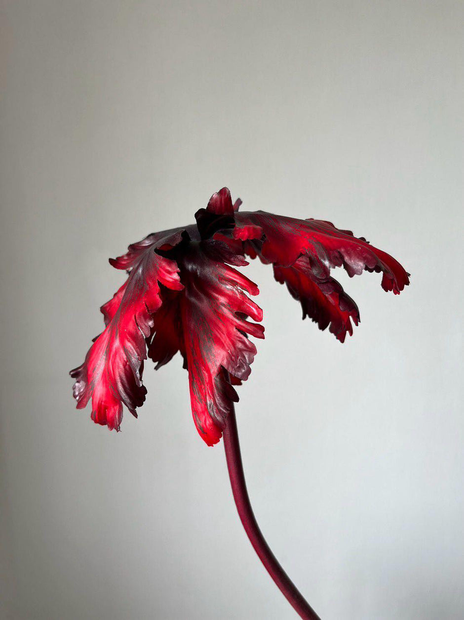 The Tulip Bell Stems – Reevein Studios