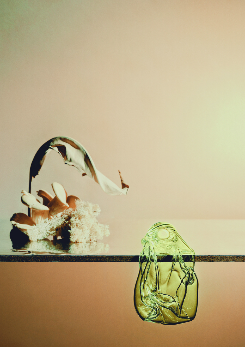 The Glass Spora Collection – Reevein Studios